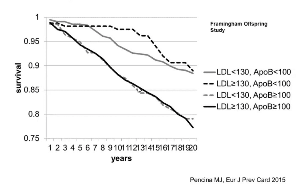At Risk For Heart Attack A Webinar By Health Wealth Safe
