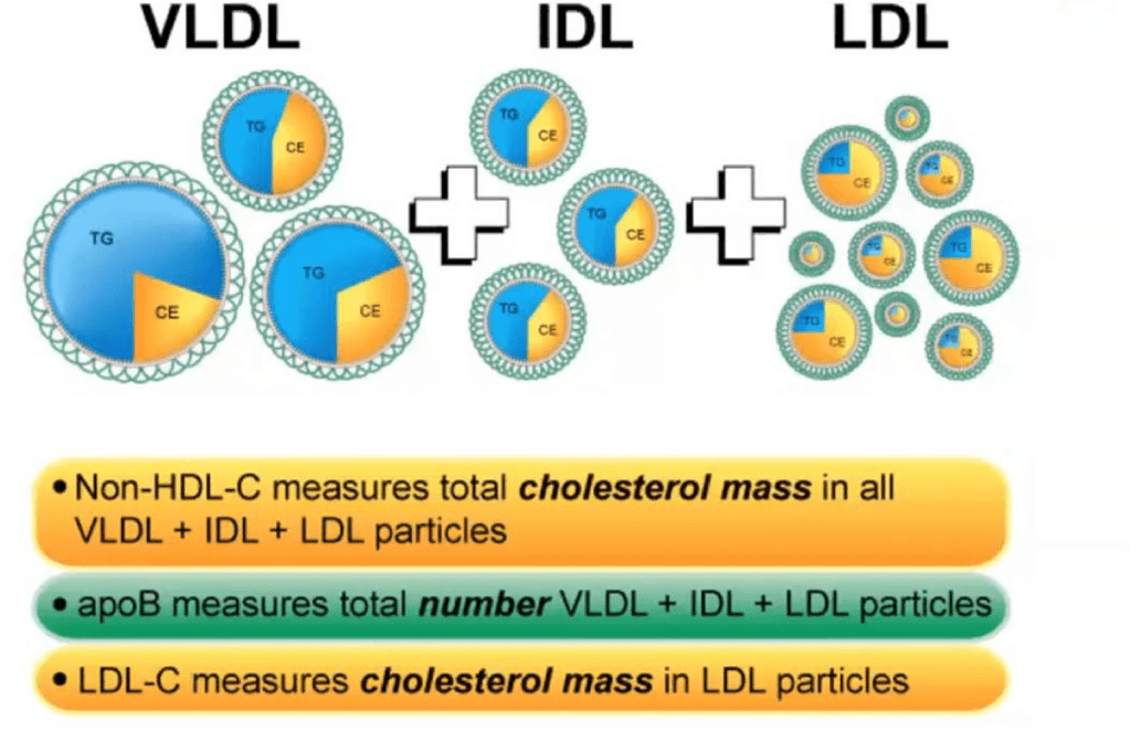 At Risk For Heart Attack A Webinar By Health Wealth Safe